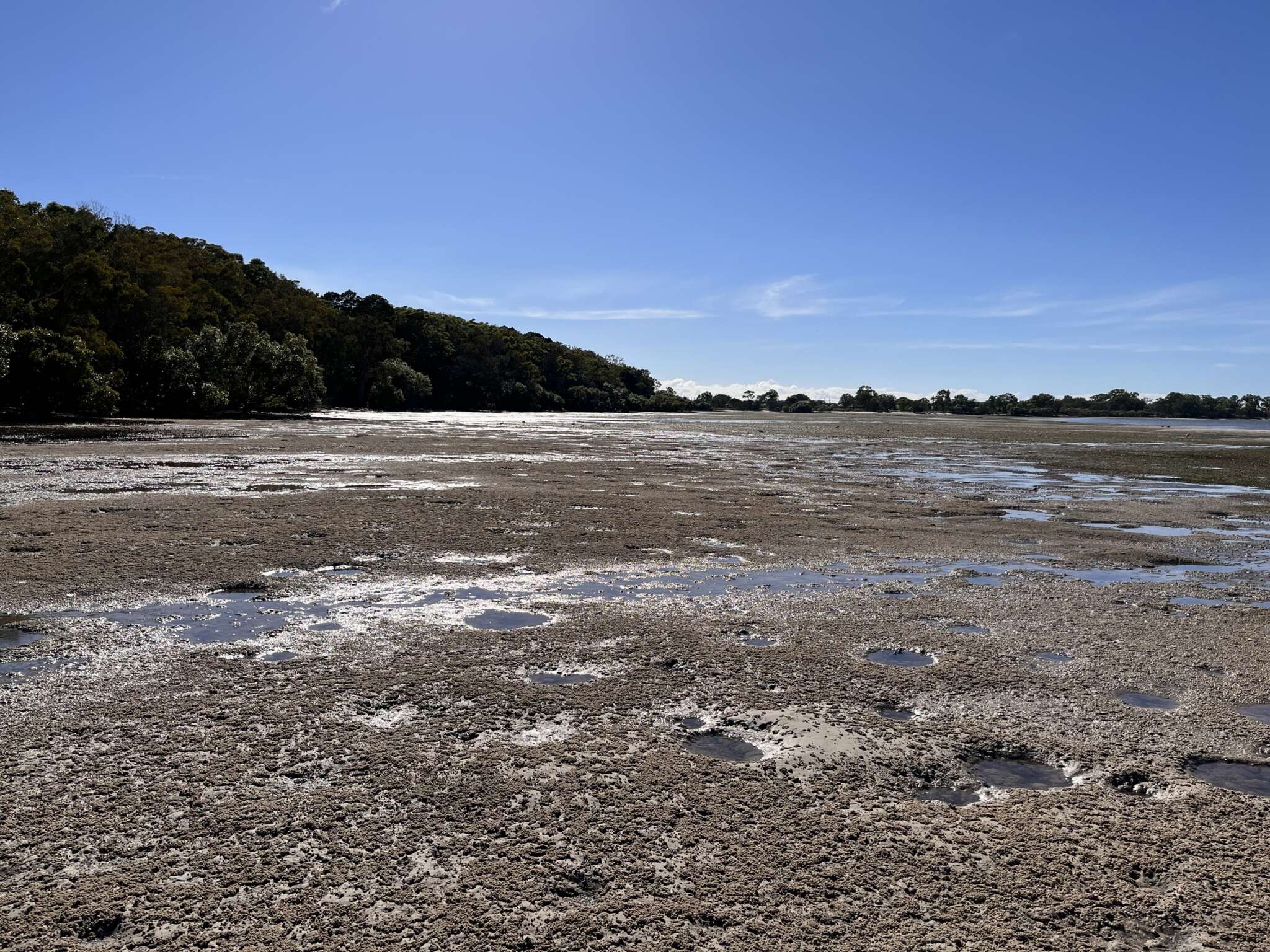 How to pump, keep and hook Saltwater Yabbies - The Wooly Experience
