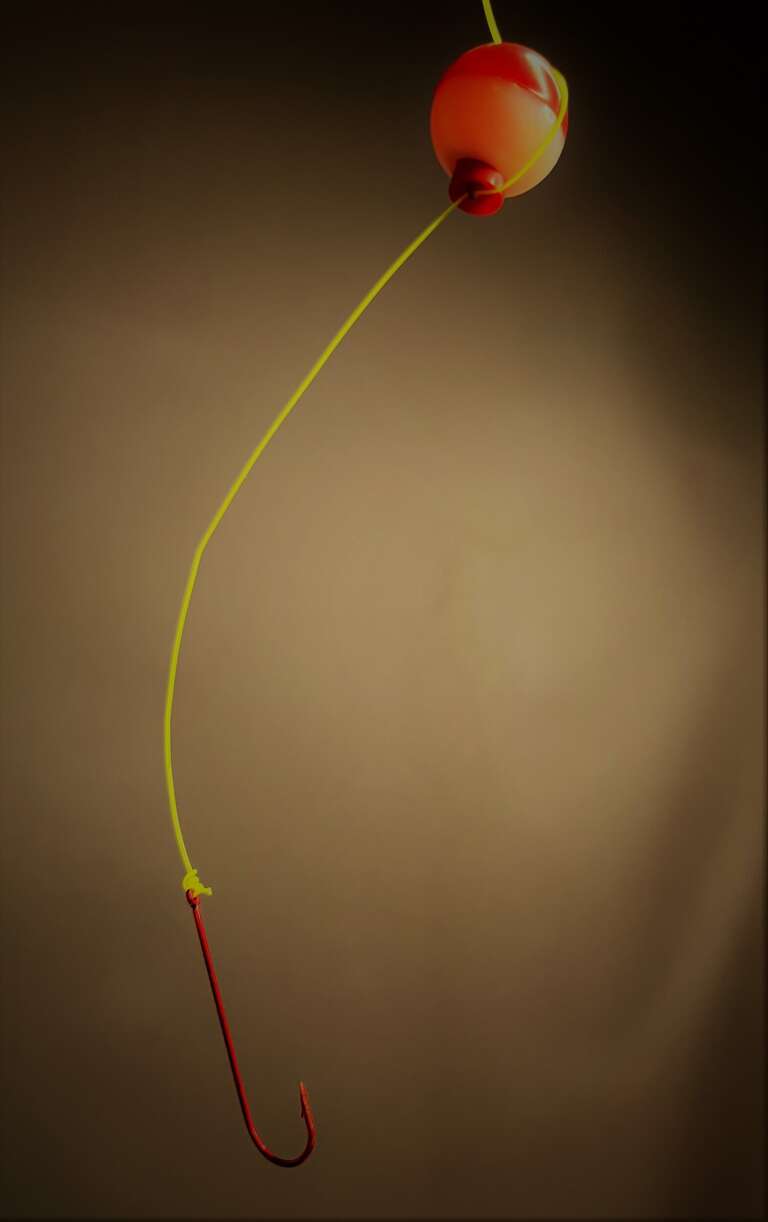 How to catch Mullet for bait using a rod and reel - The Wooly Experience